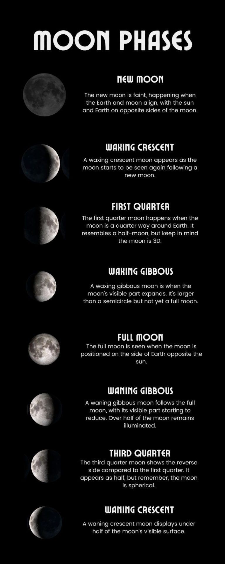 Moon Facts for Kids - Interesting Facts about the Moon