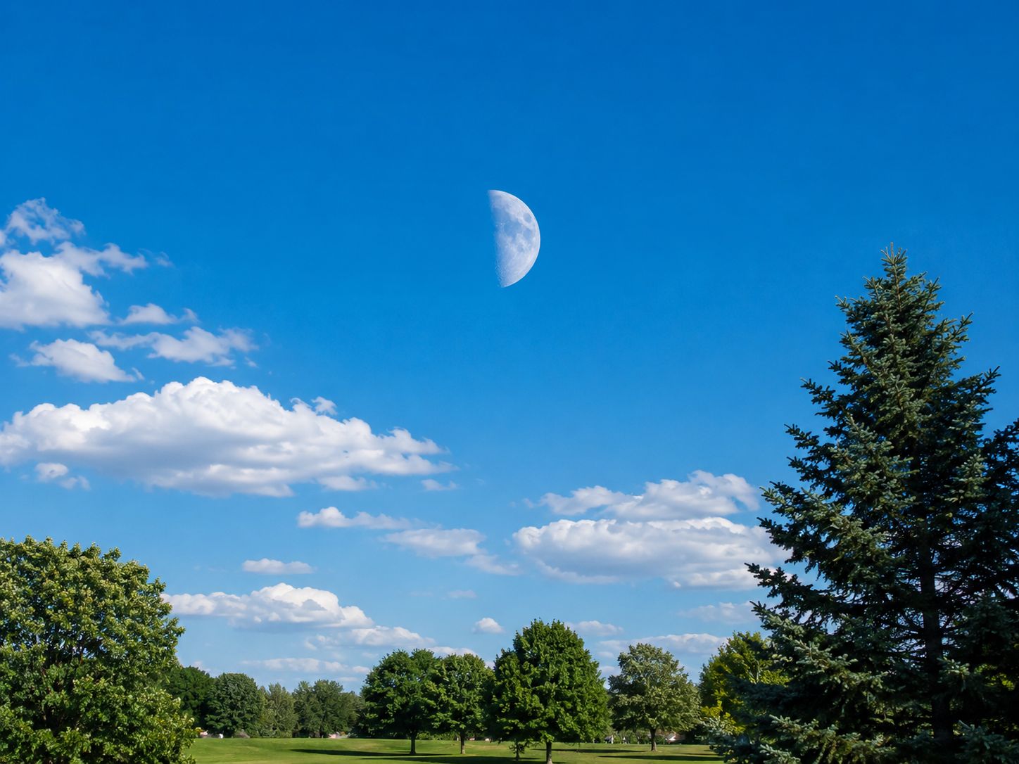 Moon Phases for Kids — All 8 Phases Explained