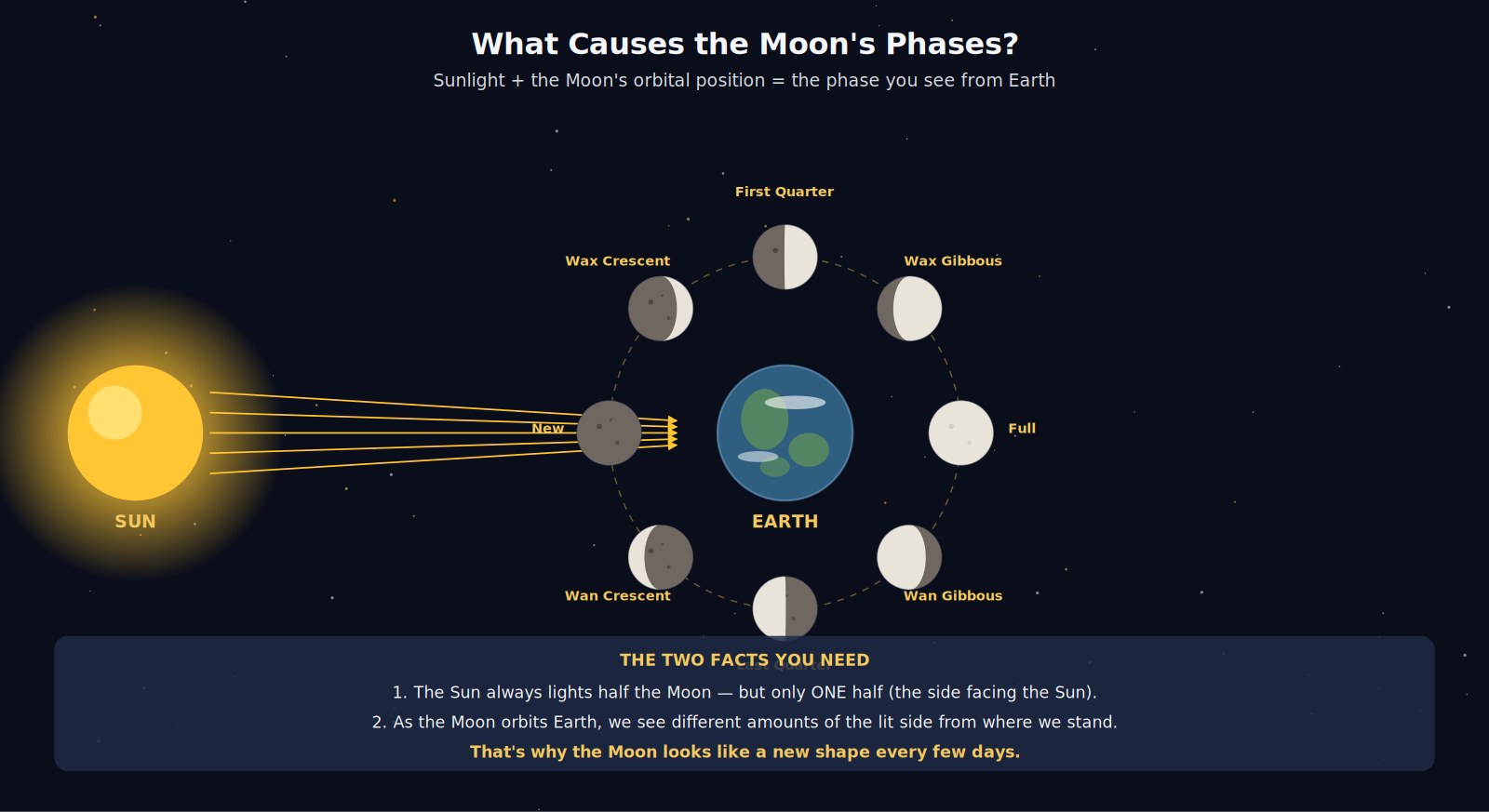 Moon Phases for Kids — All 8 Phases Explained